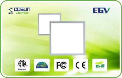 Cina × 300mm di 300mm luce di pannello di 12 W Dimmable LED con 80 Ra, luci di pannello economizzarici d'energia 1ft di 11mm LED in vendita
