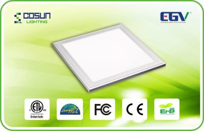 Cina illuminazione di pannello della luce di pannello di 1530LM 1ft Dimmable LED/12W LED per l'aeroporto, 300×300mm in vendita