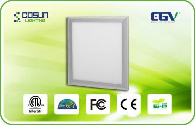 Cina luce di pannello ecologica di Dimmable LED del ristorante di 1ft con il ERP del FCC del CE, SMD3528 3500k - 6500k in vendita