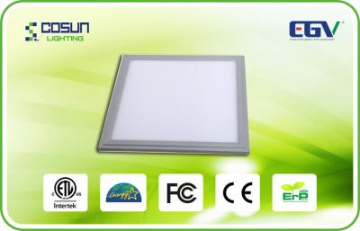 Cina la luce di pannello economizzatrice d'energia di 1530LM Dimmable LED/ha incluso l'illuminazione di pannello del LED per l'hotel, 40000h in vendita