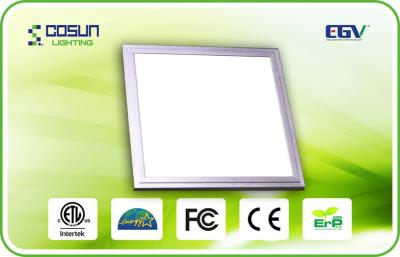 Cina luce di pannello di Dimmable LED di alta luminosità 12W per l'aeroporto, luci di pannello del × 300mm LED di IP50 300mm in vendita