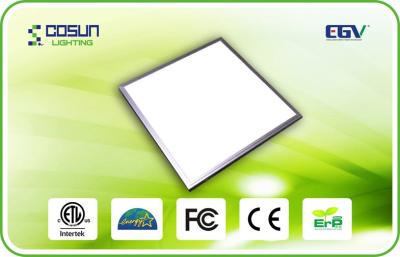 Cina la luce di pannello del FCC SMD3528 Dimmable LED del CE 12W/il LED ultra sottile si accende per la casa, nessun'interferenza di rf in vendita