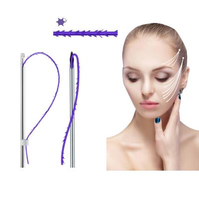Cina suture assorbibili che sollevano il dente 6D L smussata cannula del filo di pdo della Corea dell'ago per l'ascensore di fronte pungente di cura di pelle di bellezza in vendita