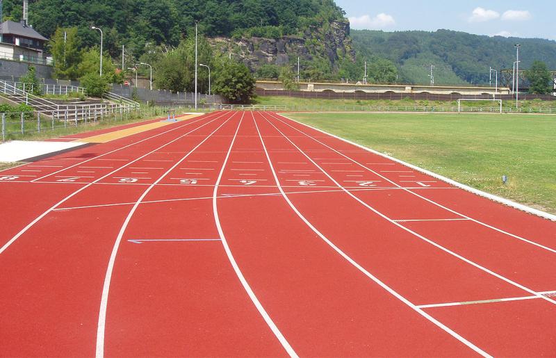 Verified China supplier - USA WEGI SPORTS INDUSTRY INC
