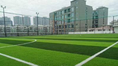 China 50 mm M-Form künstlicher Fußballrasen mit 16,5 Stichen zu verkaufen