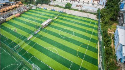 China 50 mm M-Form künstlicher Fußballrasen mit 16,5 Stichen zu verkaufen