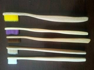 Cina Lo spazzolino da denti eliminabile amichevole eco- di viaggio con BPA libera i campioni liberi delle setole del nylon in vendita