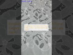에브로이드레이 랜스 직물  Mesh Floral Elegant Hollow-up 에브로이드레이 랜스 직물