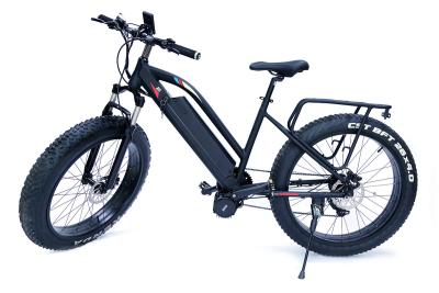 Cina Bici grassa elettrica di 48v 1000w Bafangcentral della montagna ad alta velocità del motore con lo schermo a colori anteriore della forcella della sospensione e di LCD in vendita