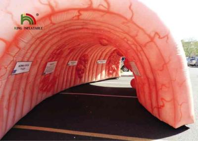 Chine le rebond commercial de deux points de 6m de tunnel gonflable énorme de coeur loge ignifuge à vendre