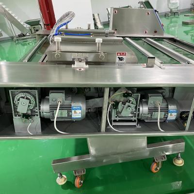 China 3000 W kontinuierliche Gürtelmaschine zur Vakuumverpackung für Fleisch und Obst zu verkaufen