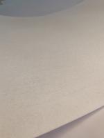 Quality MD 900N/5cm Tensile Strength FR Spunbonded Polyester for Customized Width Applications for sale