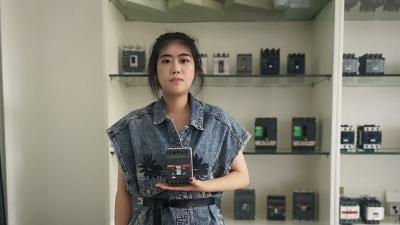 中国 モデル・ケースの遮断器NSX-100 3P MCCB 販売のため