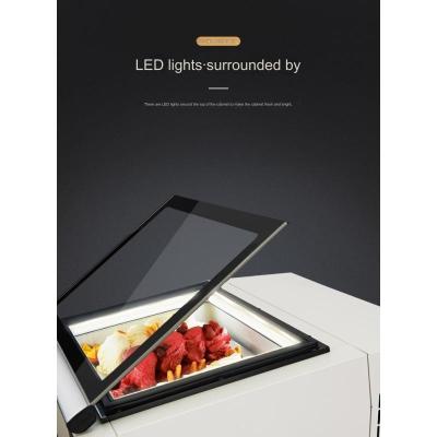 Κίνα Εφαρμογή για την εμπορική εστίαση 44 kg Γελατό παγωτό παγωτό παγωτό ψυγείο προς πώληση