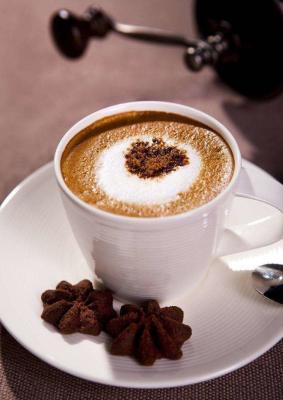 Chine Machine à café Espresso avec chauffage électrique et certification CE 1,6 kW de puissance à vendre