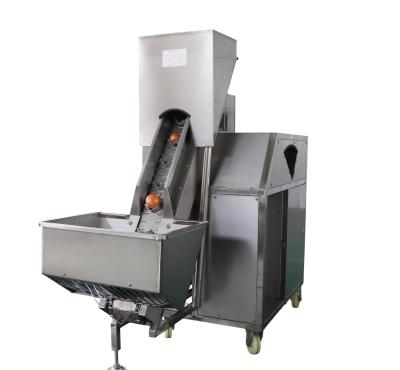 Κίνα 500-700 kg/ώρα Μηχανή κοπής για την απολέπιση κρεμμυδιών για σαλτό και σαλτό τελικό προϊόν κρεμμύδι προς πώληση