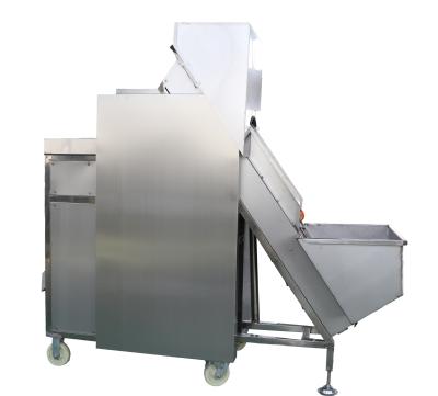Chine Machine à éplucher les oignons 1,52kw Décapant automatique de l'ail 500-700 kg/h Haute productivité à vendre