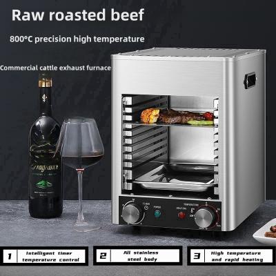 Κίνα 800 βαθμούς υψηλή θερμοκρασία εμπορικό φούρνο Ιδανικό για τη μαγειρική ψωμί κέικ και πίτσα προς πώληση