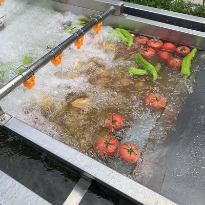 Κίνα Μηχανή πλύσης φυσαλίδων λαχανικών και φρούτων για μήλα λεμόνι καρότο μασσάβα ντομάτα γαρίδες προς πώληση