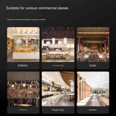 Chine Cuisinier électrique de restauration avec contrôle de température précis et menu mémoire à vendre