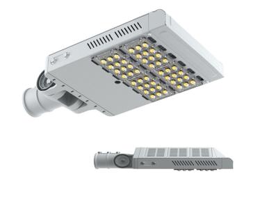 Cina l'illuminazione di via principale all'aperto 100W illumina l'ente di alluminio regolabile di angolo in vendita