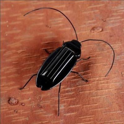 China Bug/ Mini Roach Solar Toy /mini Solar Cockroach /roach for sale