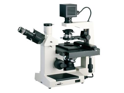 Cina 100x - 400x ha invertito la lampada dell'alogeno del microscopio biologico 6v 30w in vendita