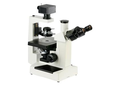 Cina Il tessuto 100x-400x della cultura ha invertito la lampada dell'alogeno del microscopio 6v 20w della ricerca in vendita