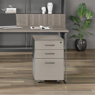 Cina Mobile flessibile e silenzioso per attività di ufficio, per archiviazione documenti e dati, mobile basso con serratura, mobile da ufficio lato scrivania in vendita