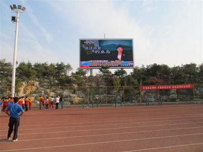 Cina × all'aperto statico 200mm dell'esposizione/tabellone per le affissioni 200mm di pubblicità della IMMERSIONE P25 LED in vendita