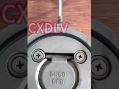 JB API Standard Swing Check Valve DN80 Single Door Wafer Type CF8 PN16 durable