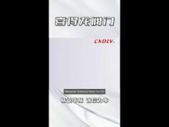 탄소 강철 A216WCB 플랑지 볼 밸브와 RPTFE 좌석