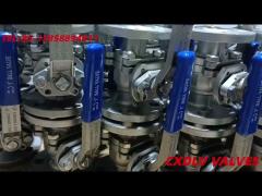 PN16 High Mounting Pad 2PC Full Port Ball Valve DN50 CF8 Floating Valve