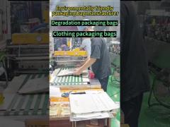 Glaspapierbeutel Hersteller von individuellen Druckzeugen, umweltfreundliche Kleidungsbeutel, selbstklebend