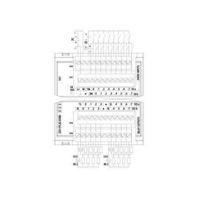 Cina 16DI/16DO 16DI 24V DC Sink/Source 16DO Relay 2A PLC Digital I/O SM 1223 per il settore industriale in vendita