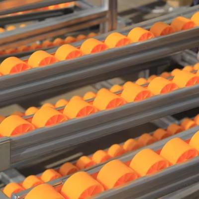 Cina Steel Carton Flow Racking System Live Storage Customized Development in vendita