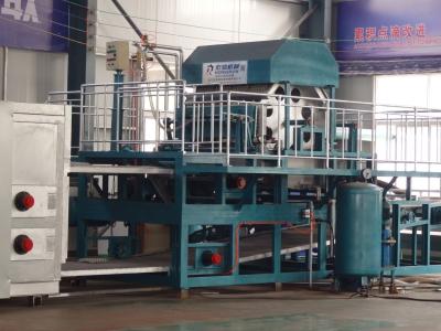 China Máquina totalmente automático da bandeja do ovo à venda