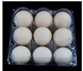 China Furo descartável do espaço livre 41mm da bandeja do ovo das cavidades do PVC 9 para o supermercado à venda