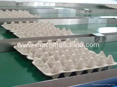 Cina Macchina di carta del cartone dell'uovo della polpa della macchina del vassoio dell'uovo in vendita