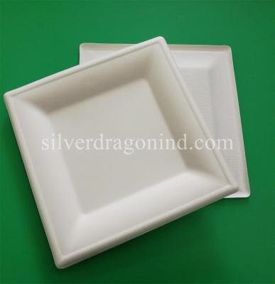 중국 Biodegradable Disposable Sugarcane Pulp Paper Plate, 10 Inch Square Plate 판매용