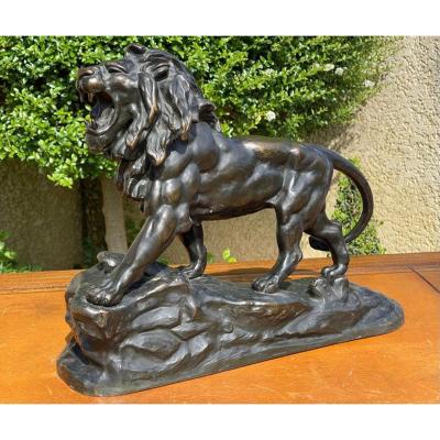 Hot popular outdoor decoration cast bronze lion statue life size decor metal art