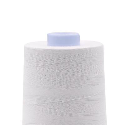 China Alta Tenacidade 160g de rede Fornecer 100% de algodão de fio para Kite 50/3 à venda