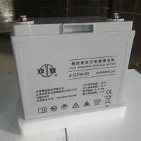 21kg AGM Battery 12V65Ah for Emergency Fire Power Solar Energy Storage Power