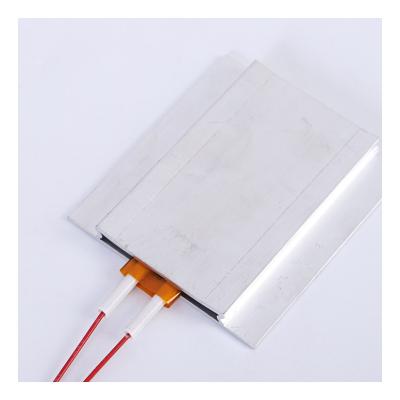 Cina 120-240V radiatore ceramico su ordinazione del bagno della vendita all'ingrosso ptc Heater For Foot Bath And in vendita