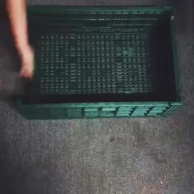 China Faltbarer Mesh Wall Plastic Packaging Crates für Umsatz und Lagerung zu verkaufen