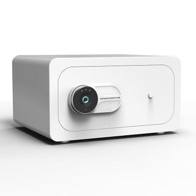 China Stain Resistant Fingerprint Lock Small Security Safe Box for sale