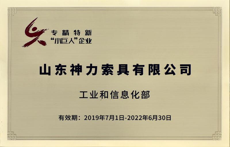 Jining Municipal Committee of the Communist Party of China Jining Municipal People's Government Safety Production Committee - Shandong Shenli Rigging Co., Ltd.