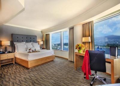 Cina Presidente Executive Hospitality Bedroom Furniture/insiemi di salone per gli appartamenti in vendita