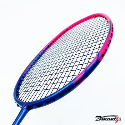 Cina Carbon Fiber Light Graphite Professional Top Fiber Badminton Rackets Dmantis in vendita