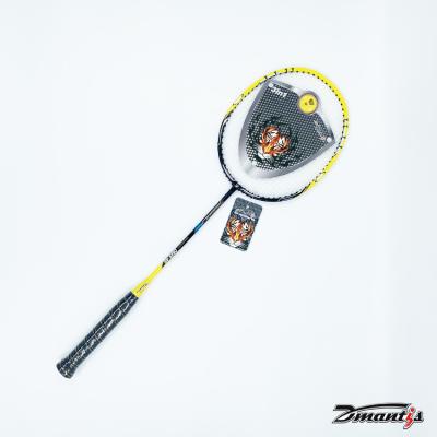 Cina DMS45 Whole Sale Price Carbon Fiber Professional Badminton Rackets with Carry Bag Batminton Racquet in vendita